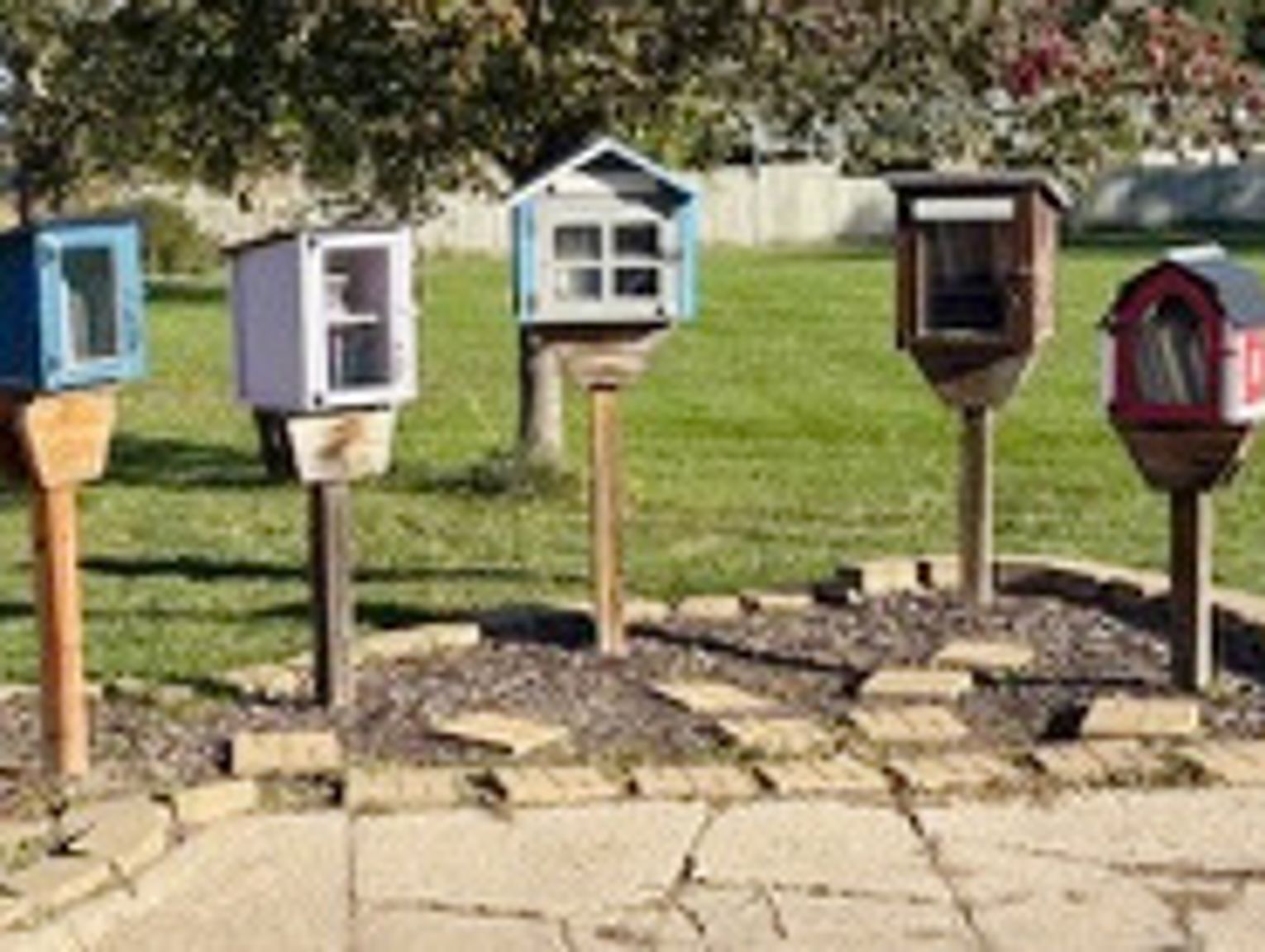 Edgar Little Libraries receive grant