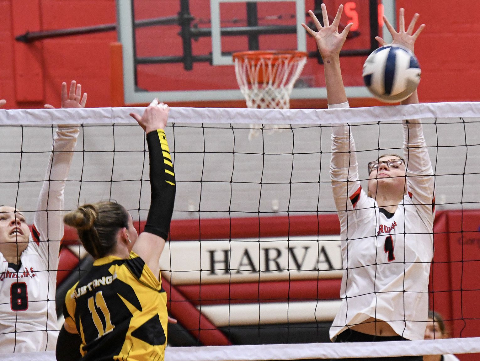 Harvard volleyball downs McCool Junction, Palmer at home