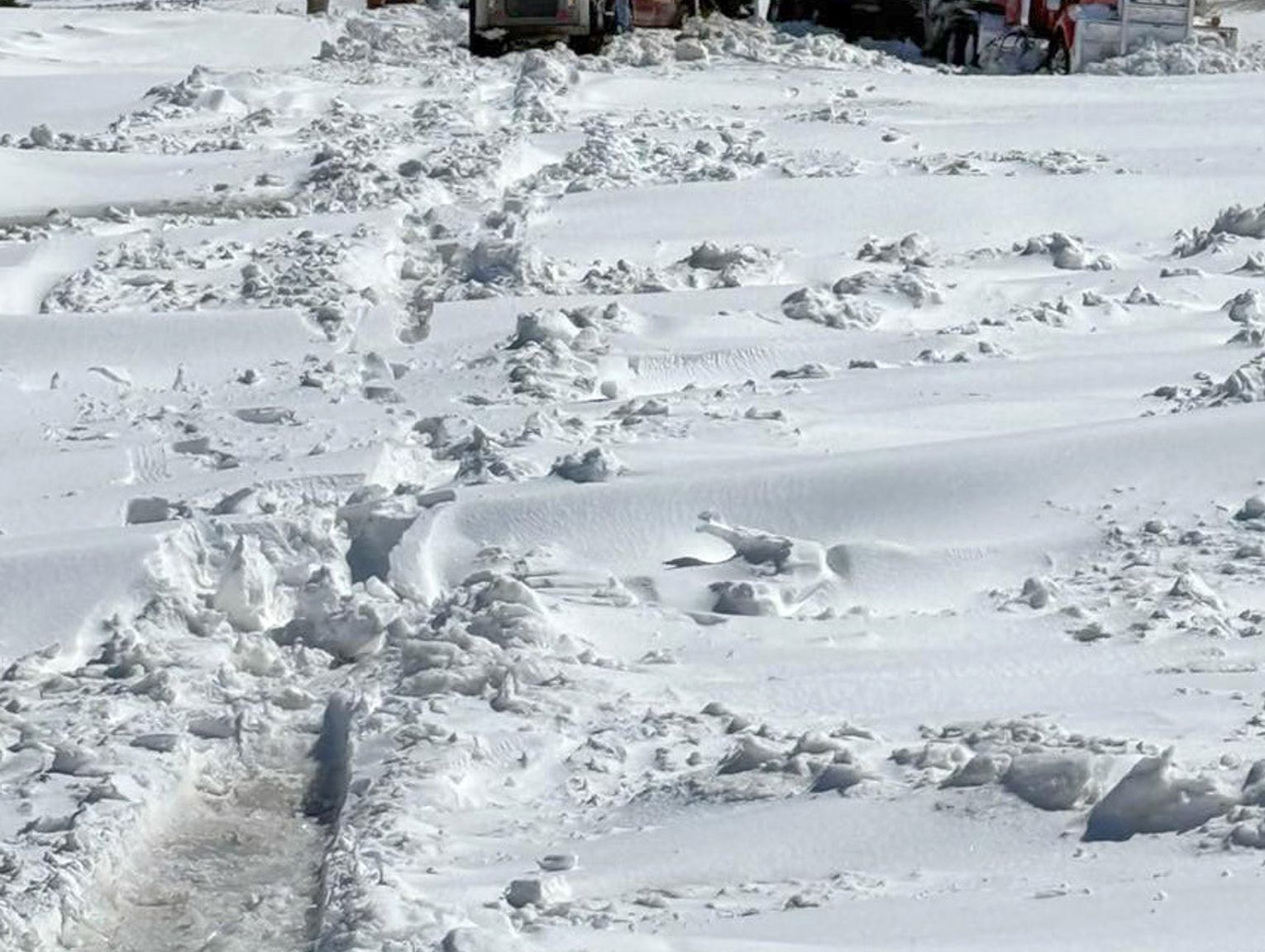 President Trump approves federal disaster declaration for March storm